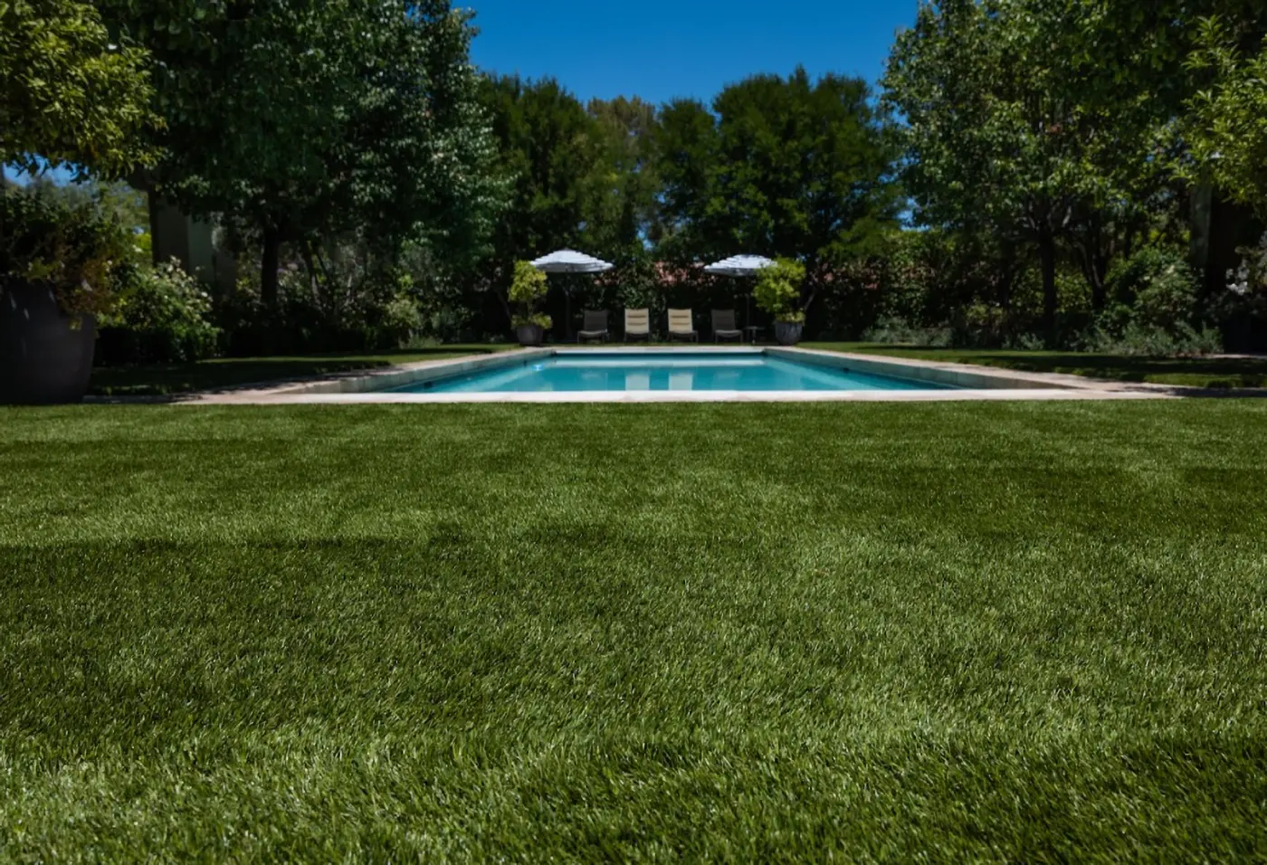 Artificial Turf Portland | Evergreen Grass Depot — Veteran-Owned Turf ...